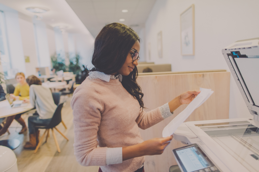 Programme structure - Jobs Boost